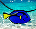 Blue Tang Fish Necklace - Sea Life Collection - Pewter on Cotton Cord