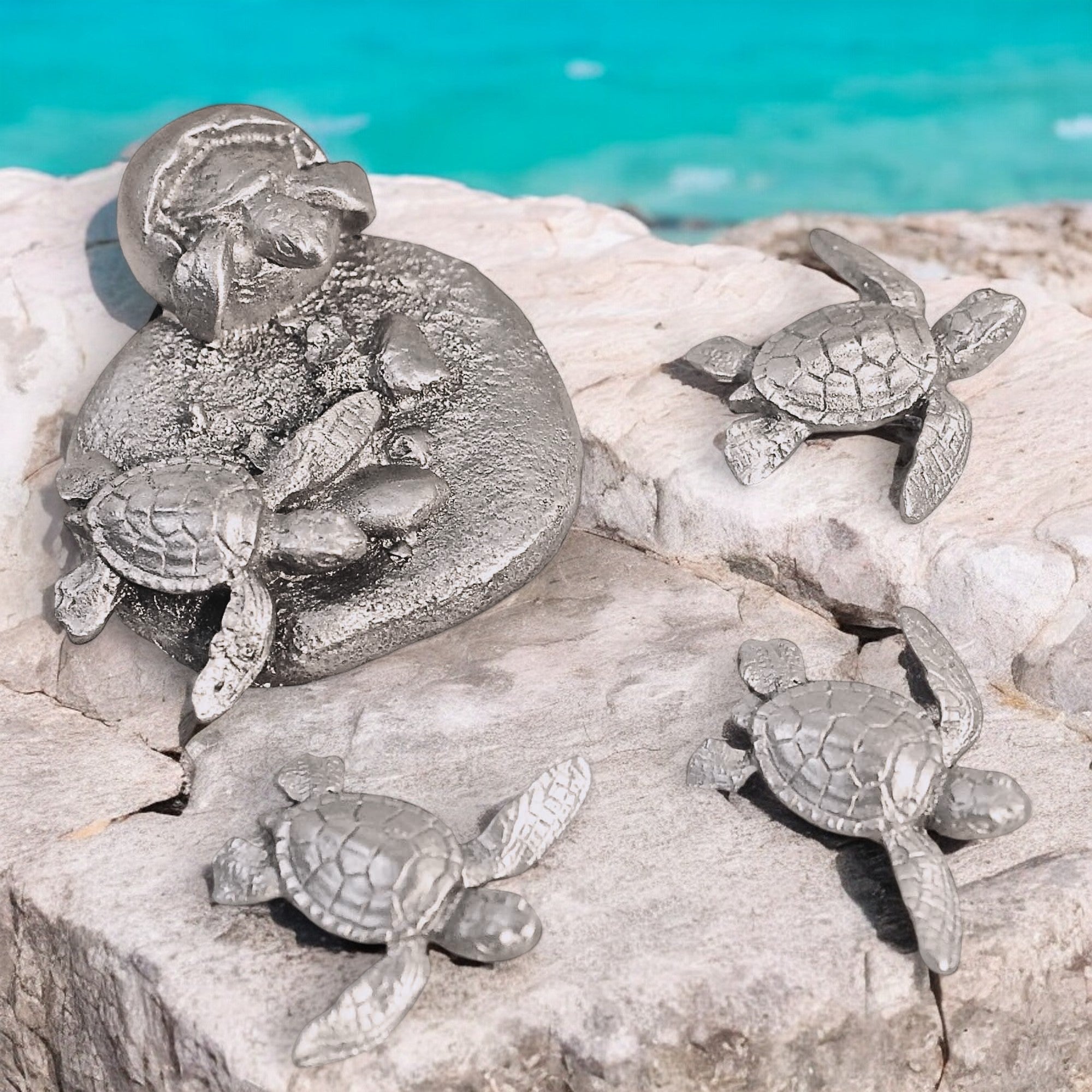 Baby Sea Turtle Magnet Set – Home Decor - Pewter