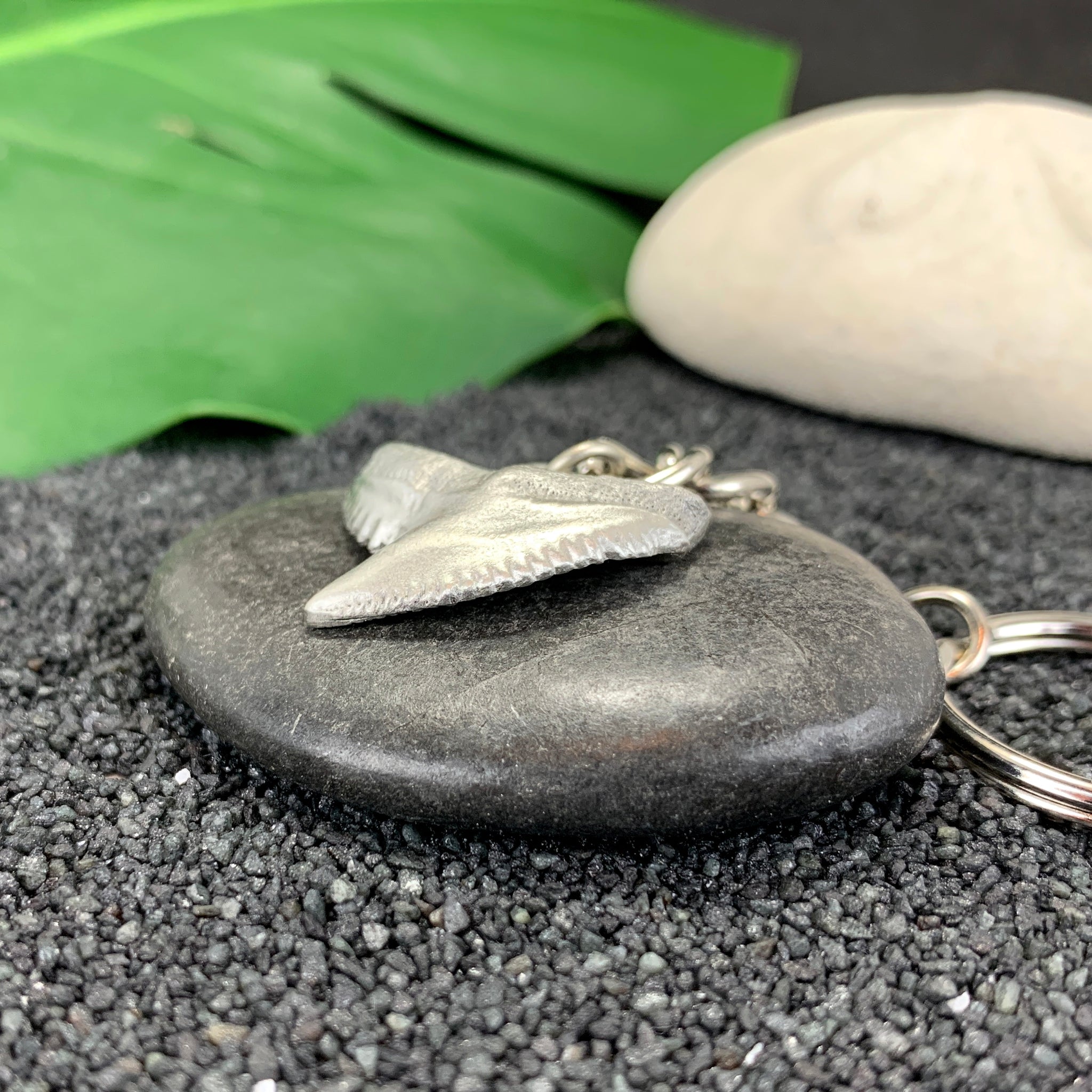 Shark Tooth Keychain, Shark Tooth Key Ring, Tiger Shark Tooth Keychain ...