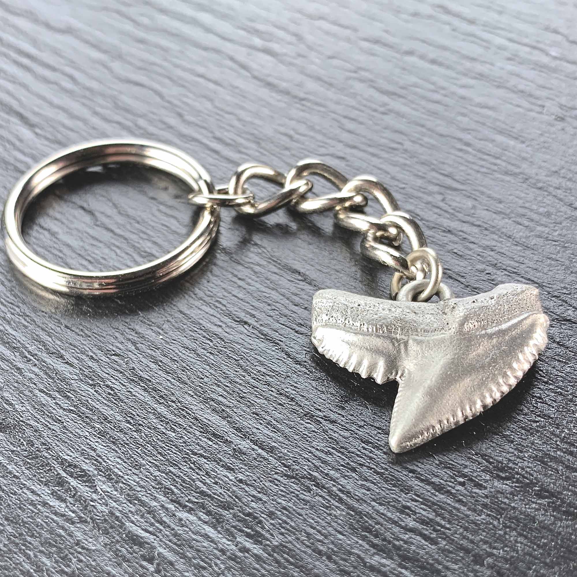 Shark Tooth Keychain, Shark Tooth Key Ring, Tiger Shark Tooth Keychain ...