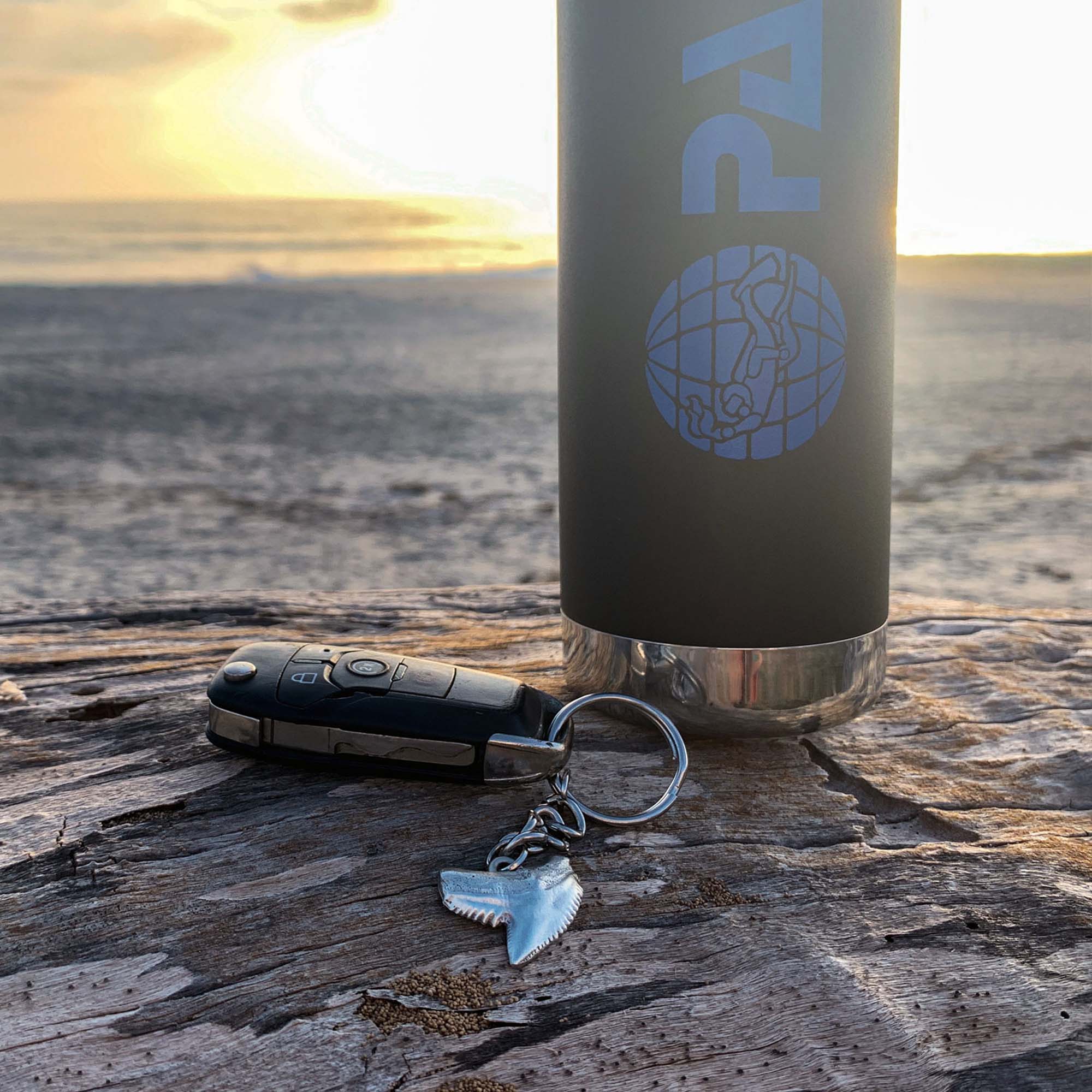 Shark Tooth Keychain, Shark Tooth Key Ring, Tiger Shark Tooth Keychain ...